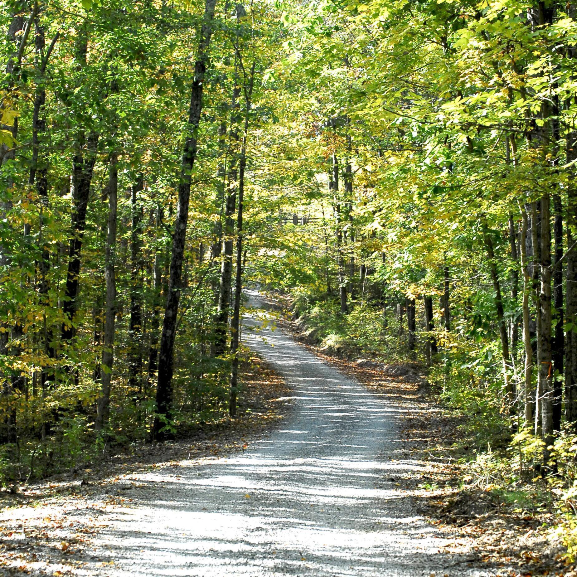 Deer Run Story - Deer Run